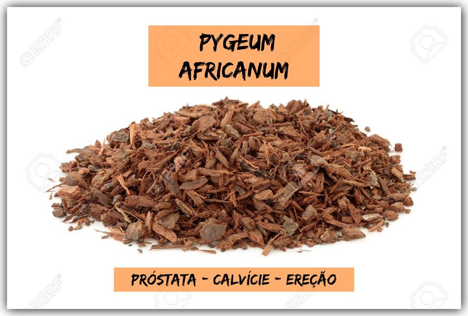 Saw Palmetto – Complexo de Plantas – Minoxidil BH